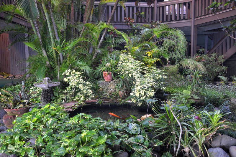 Jardin Tropical D'intérieur Photo stock - Image du exotique, jardin ...