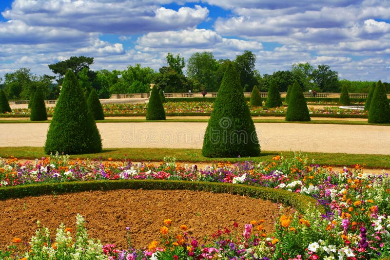 Flores Del Castillo De Edimburgo Foto de archivo - Imagen de flores ...