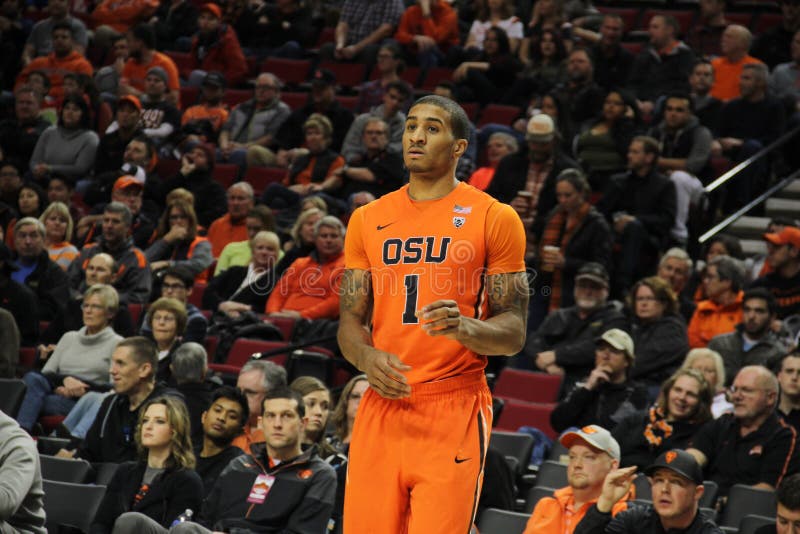 Jarmal Stock Photos - Free & Royalty-Free Stock Photos from Dreamstime