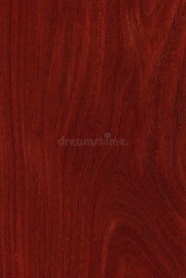 Marron Color Pictures And Images - RGB Color Hex Code [#800000 - 14%]