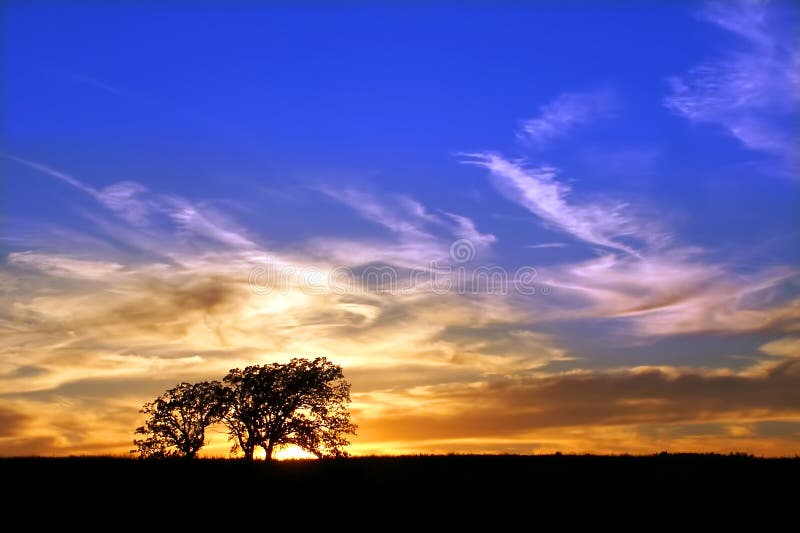 Prairie Sunrise stock photo. Image of tree, effect, landscape - 2549766