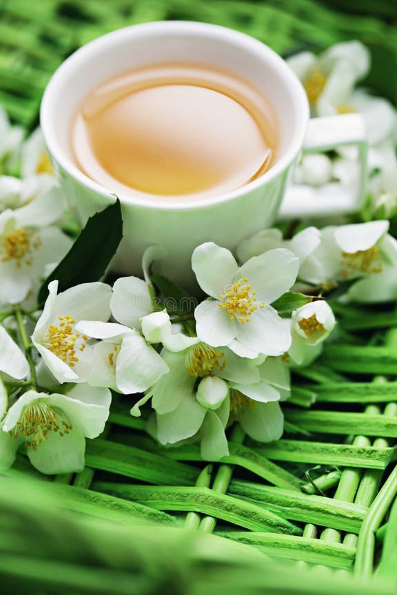 Jasmin tea stock photo. Image of delicate, spring, medicine - 25612394