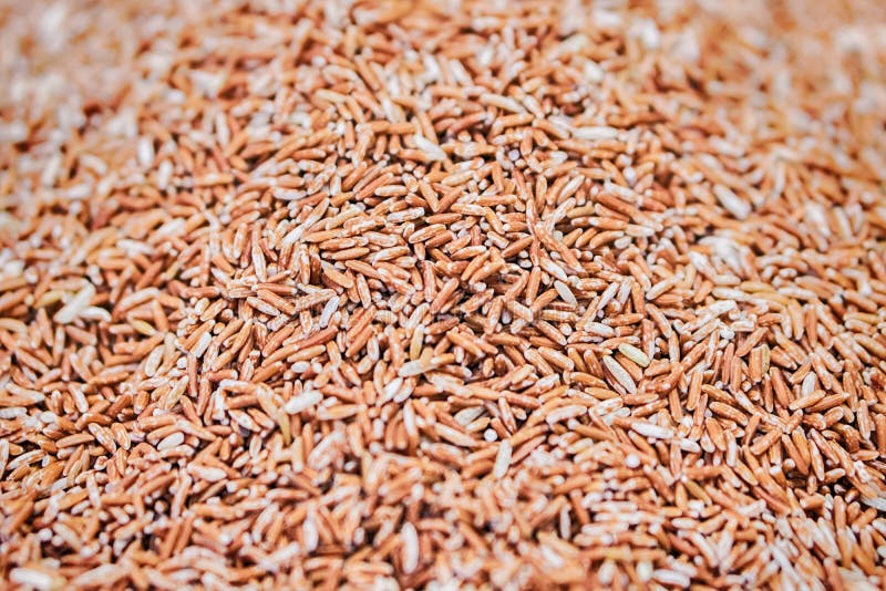 Jasmine Brown Rice Close-up Stock Image - Image of food, cooking: 83013857