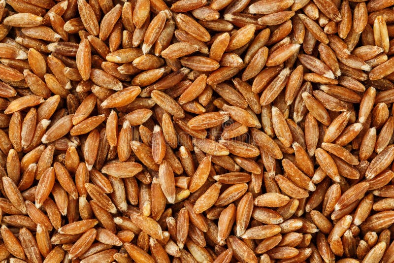 Jasmine Brown Rice Closeup. Organic Grain Texture Stock Photo - Image ...