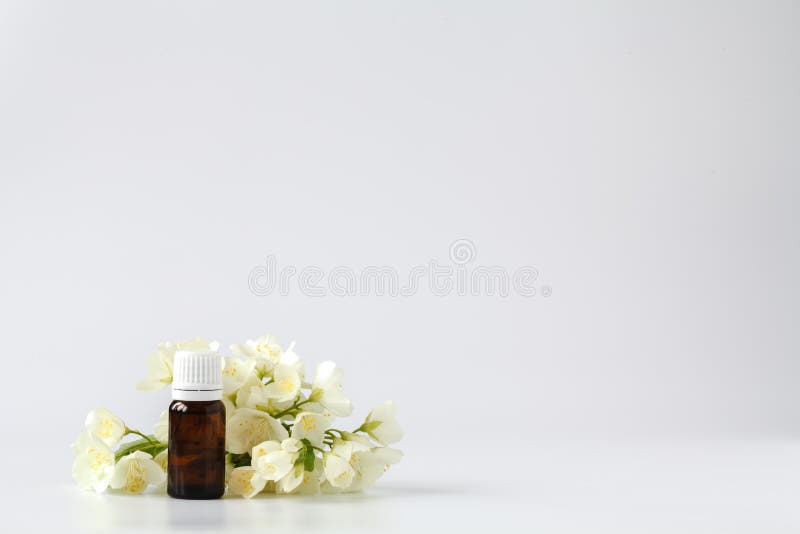 Jasmine Essence in a Bottle with Jasmine Flowers Stock Image - Image of ...