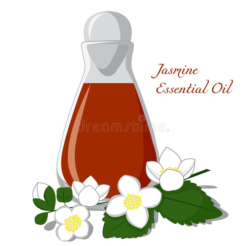 Jasmine, Essential Oil Label, Aromatic Plant. Stock Vector ...