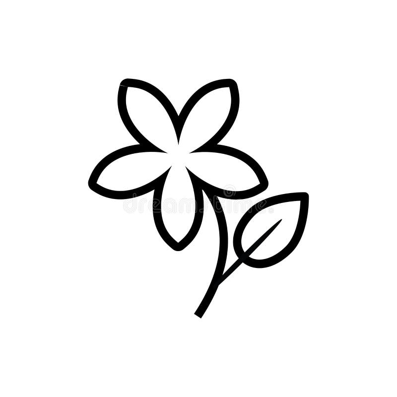 Jasmine flower icon stock vector. Illustration of blossom - 97420569