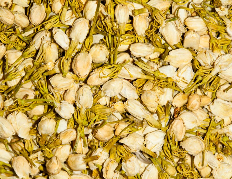 Jasmine flower for tea stock photo. Image of aromatic - 29454800