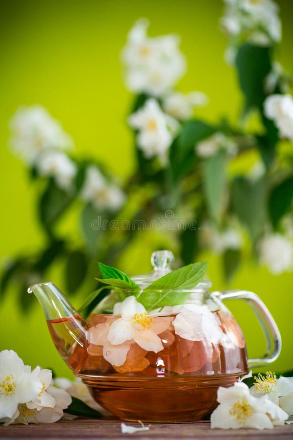 Jasmine Flower Tea in a Glass Teapot Stock Photo - Image of health ...