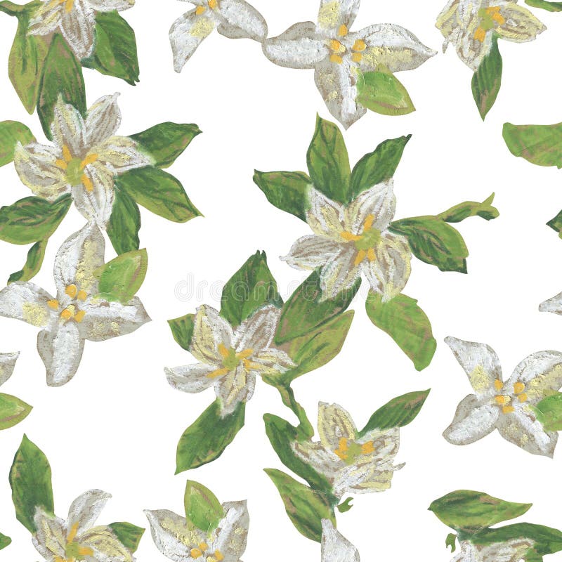 Jasmine Flowers Wax Crayons Seamless Pattern on White Isolated Background. Textural and ...