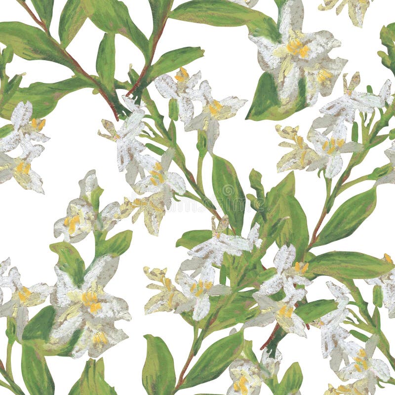 Jasmine Flowers Wax Crayons Seamless Pattern on White Isolated Background. Textural and ...