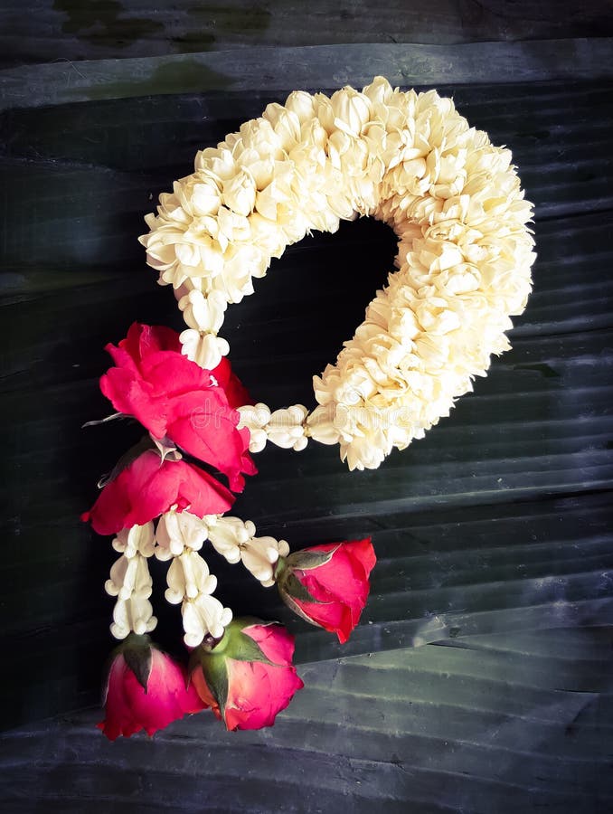 Jasmine garland stock image. Image of garland, white - 89661893