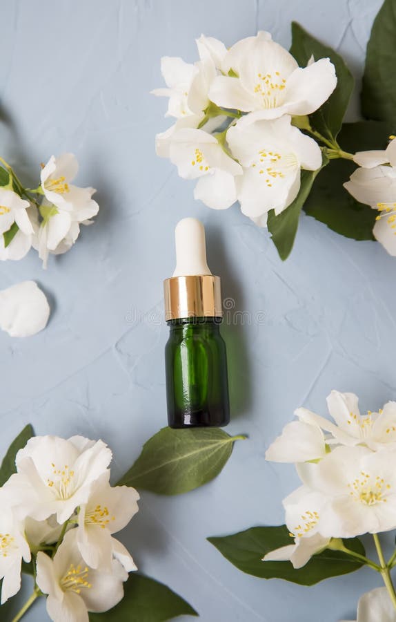 Jasmine Essence stock photo. Image of fragrance, floral - 31520298