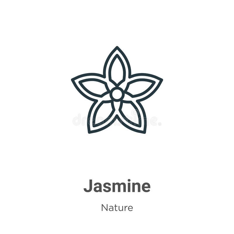 Jasmine Outline Vector Icon. Thin Line Black Jasmine Icon, Flat Vector ...