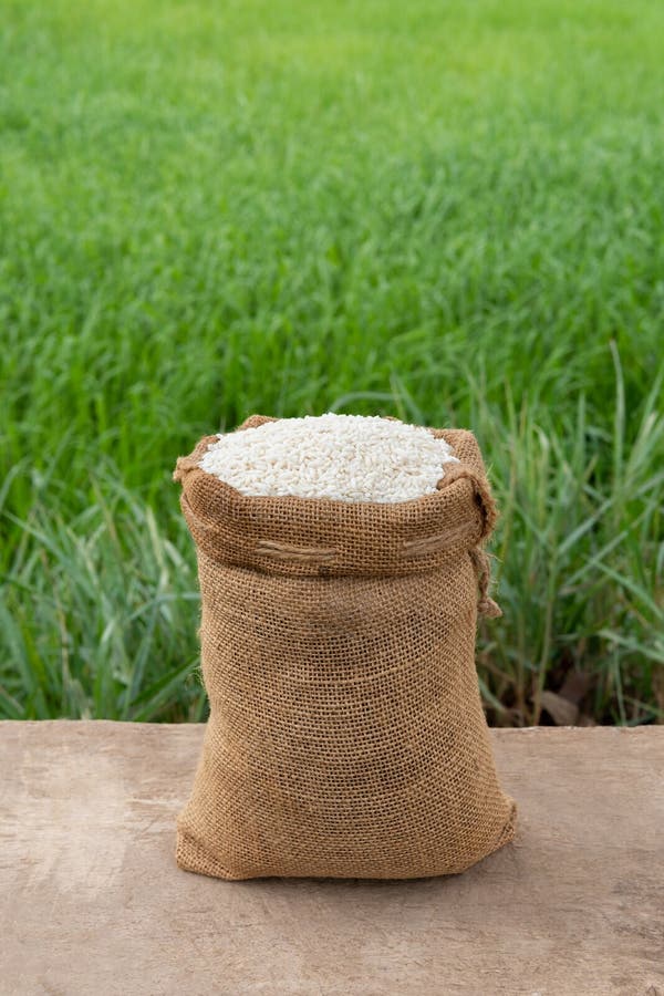 642 Jasmine Rice Burlap Sack Stock Photos - Free & Royalty-Free Stock ...