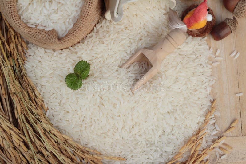 Jasmine Rice and Rice Grains for the Harvest. Stock Photo - Image of ...