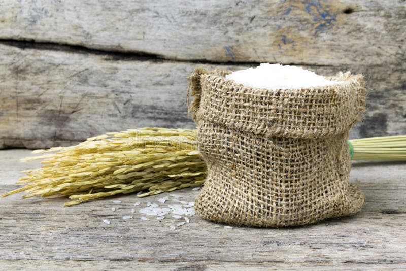 Jasmine rice in sack stock image. Image of food, background - 109801353