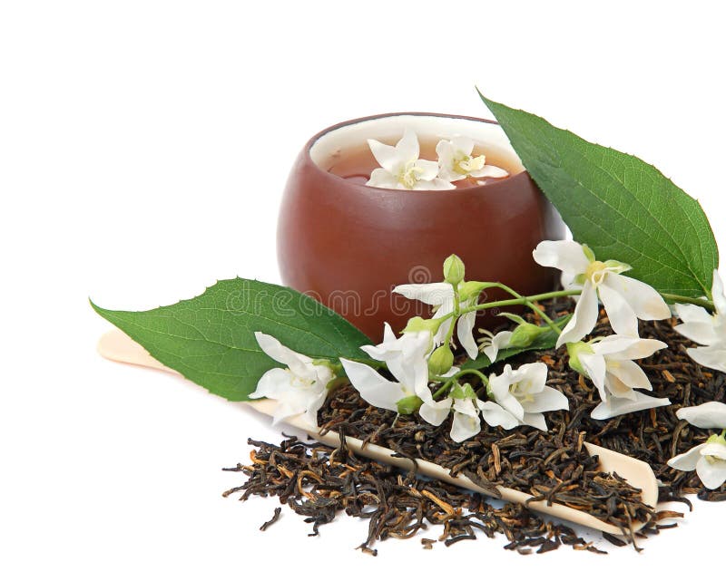 Jasmine tea stock image. Image of freshness, blooming - 23151287