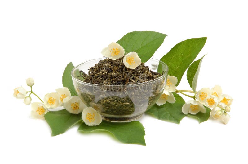 Jasmine tea stock photo. Image of close, culture, herb - 5536384