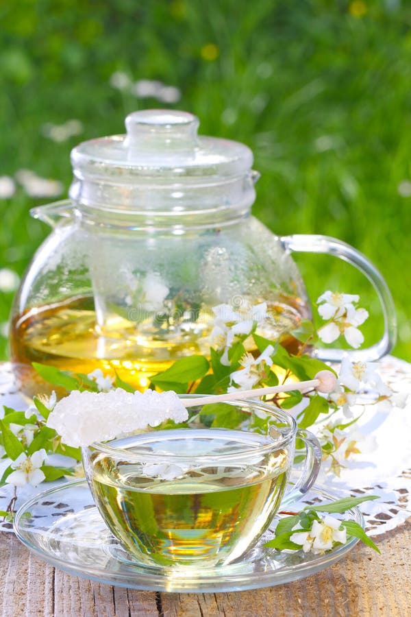 Jasmine tea stock image. Image of medicinal, sunlight - 34994993