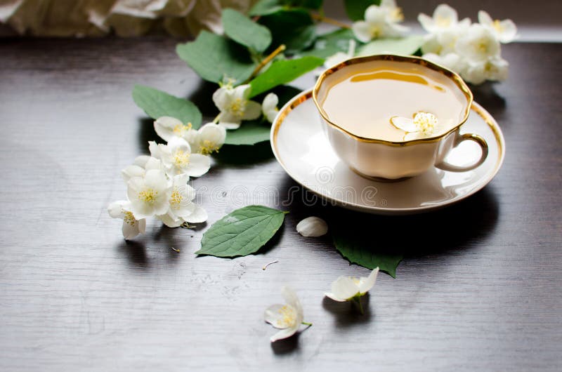 Jasmine Tea in a Porcelain Cup on a Dark Wood Stock Image - Image of ...