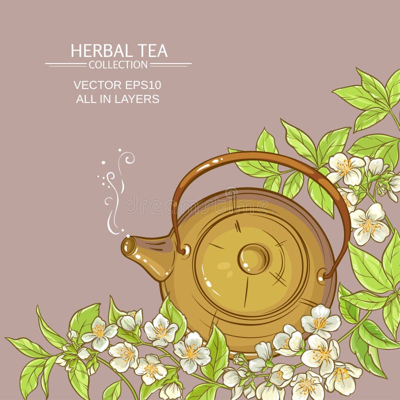 Jasmine Tea Vector Illustration Stock Vector - Illustration of jasmine ...