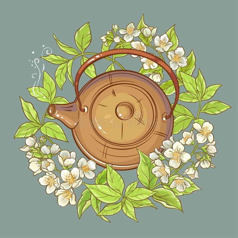 Jasmine Tea Vector Illustration Stock Vector - Illustration of jasmine ...