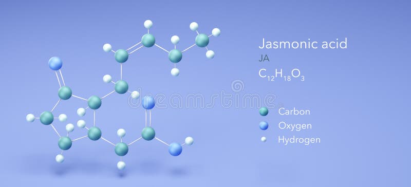 Jasmonic Acid Molecule, Molecular Structures, C12h18o3 3d Model ...