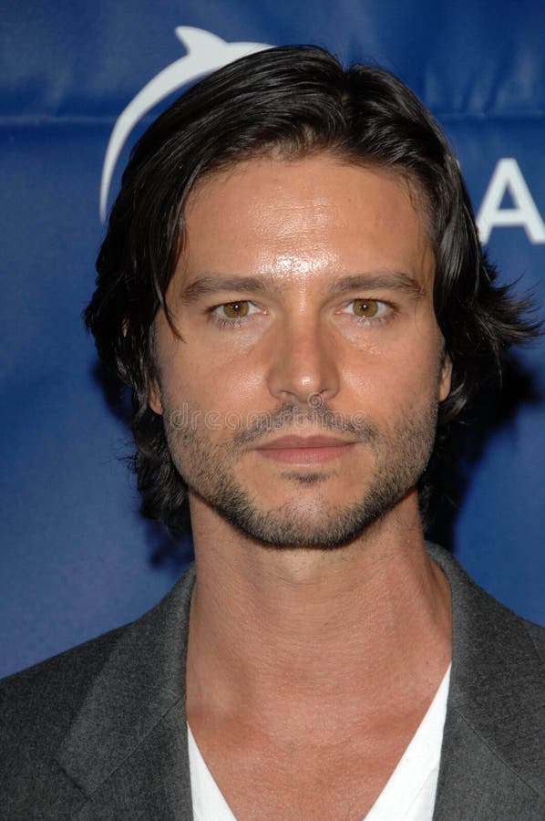 Jason Behr editorial stock image. Image of award, behr - 25673349