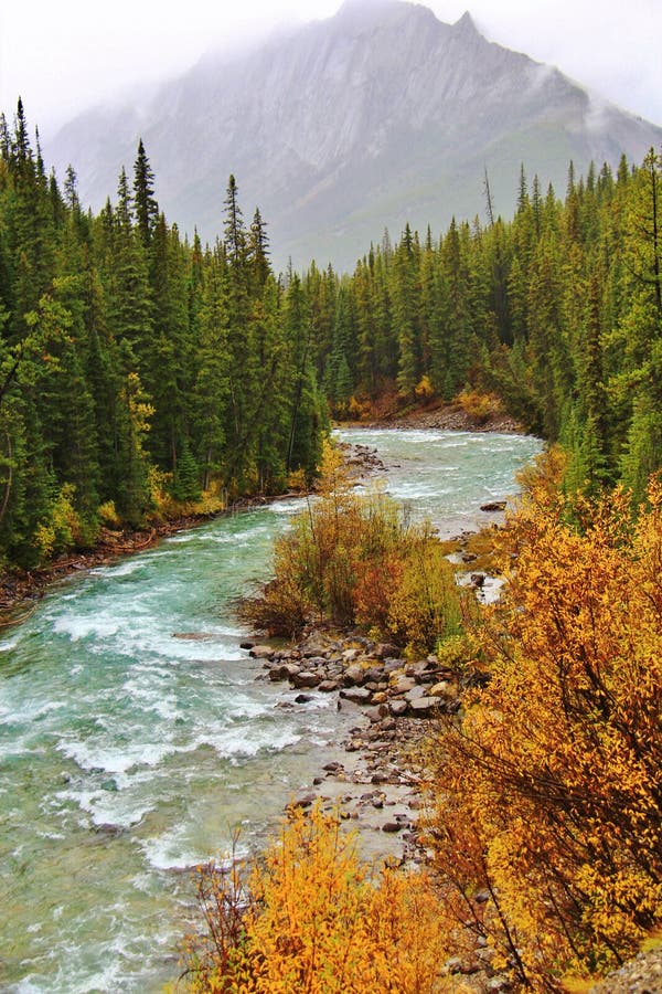 Jasper , Alberta stock photo. Image of mountain, summer - 78882456