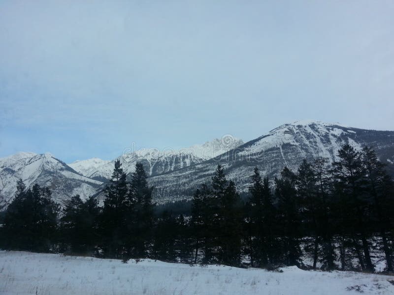 Jasper Alberta stock image. Image of tree, hill, jasper - 48783773