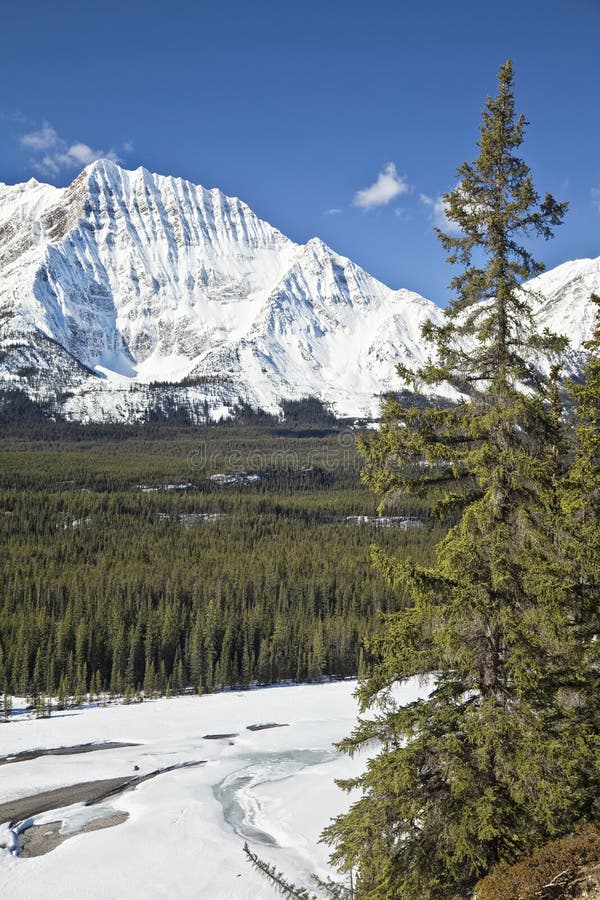 Jasper National Park stock photo. Image of cold, forest - 26539788
