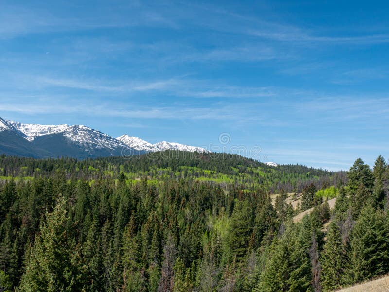 Hike in Jasper National Park, Alberta, Canada Stock Image - Image of ...