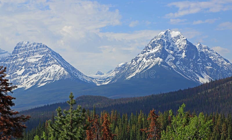 Athabasca Pass stock photo. Image of canada, park, mountains - 148799084