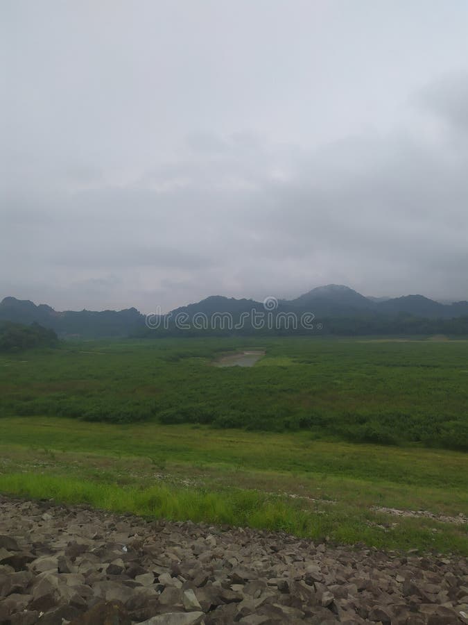 Jatiluhur Ubrug Dam Purwakarta Stock Image - Image of coast, leaf ...