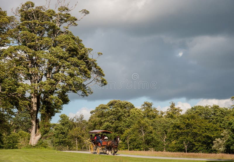 Jaunting Car in Killarney National Park Editorial Stock Image - Image ...