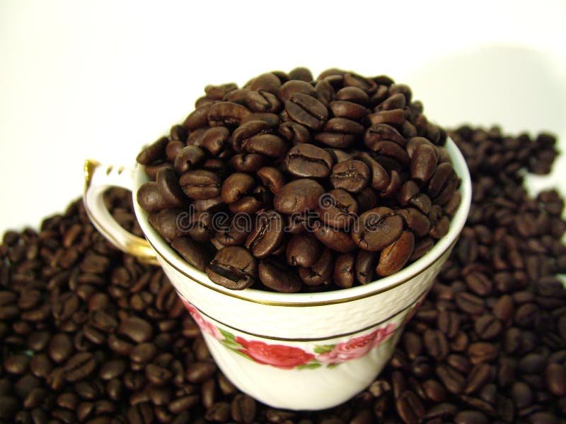 Java anyone? stock image. Image of coffeebeans, floral, food - 32455
