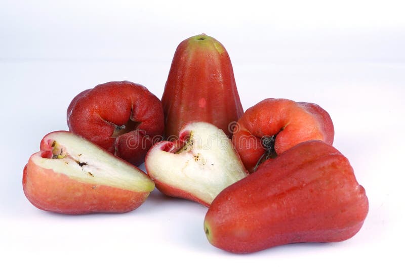 Java Apples or Rose Apples 3 Stock Image - Image of eugenia, botany ...