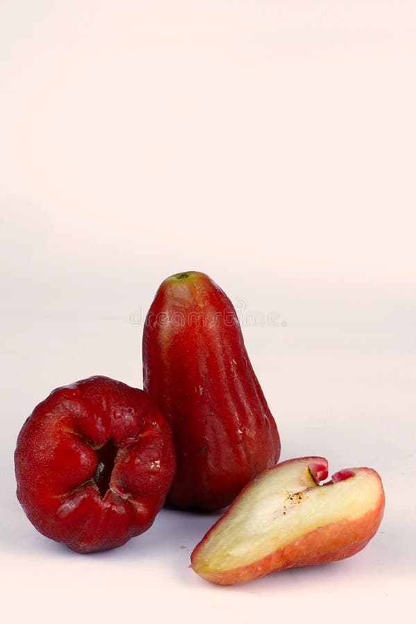 Java Apples or Rose Apples 3 Stock Image - Image of eugenia, botany ...