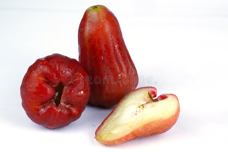Java Apples or Rose Apples 3 Stock Image - Image of eugenia, botany ...