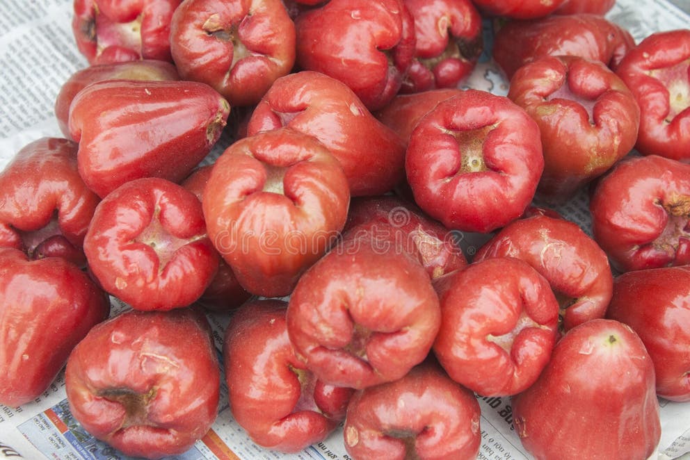 Java apples stock photo. Image of pink, juicy, ripe, fresh - 49617254