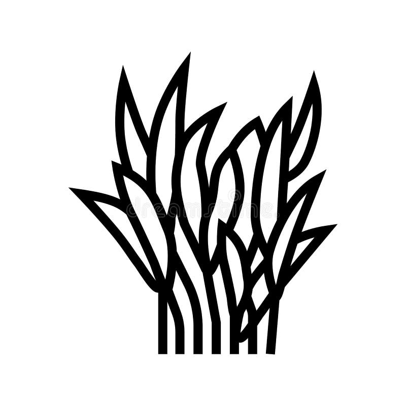 Balansae Sign Stock Illustrations – 152 Balansae Sign Stock ...