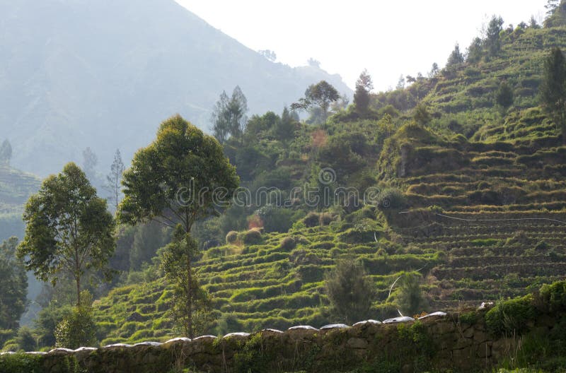 Java, Indonesia. a View from the Mountain Road on Hills with Green ...
