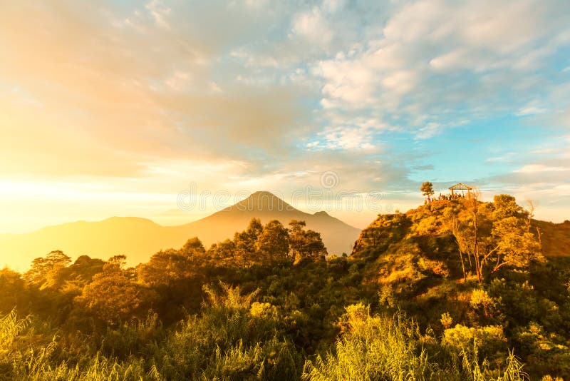 Java landscapes stock image. Image of golden, java, landscape - 54176781