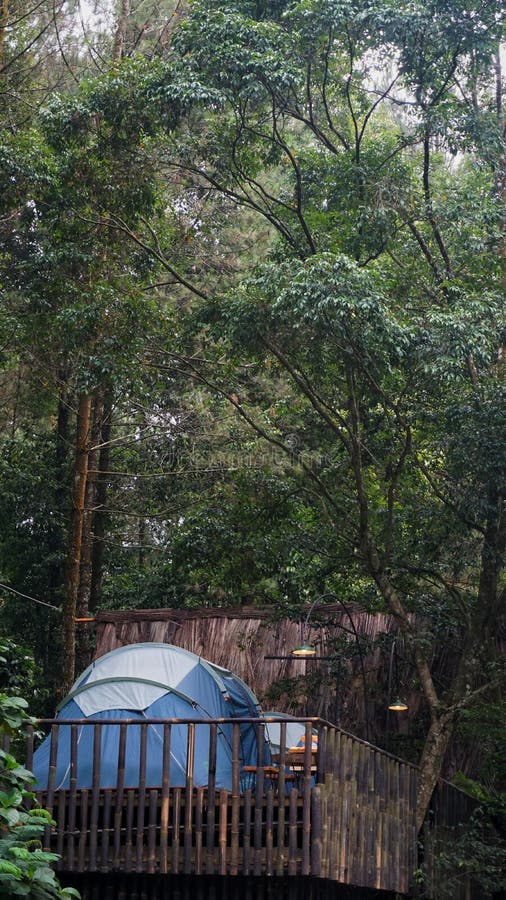 Java 21 October 2021, Camp Use Blue Tent on the Wooden Deck at the ...