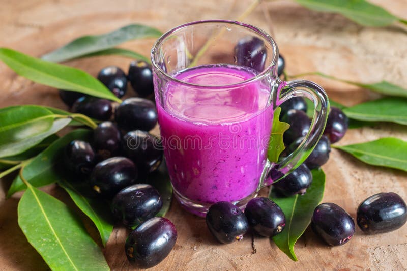 921 Jamun Fruit Stock Photos - Free & Royalty-Free Stock Photos from Dreamstime