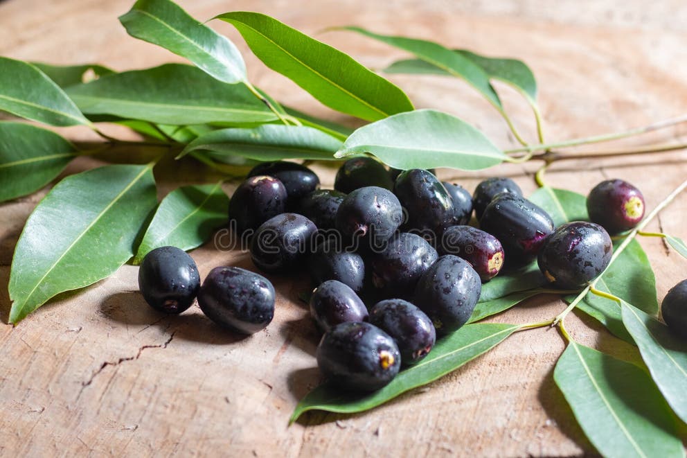 Raw Jamun, Black Plum or Java Plum on an Wooden Background. Stock Image ...