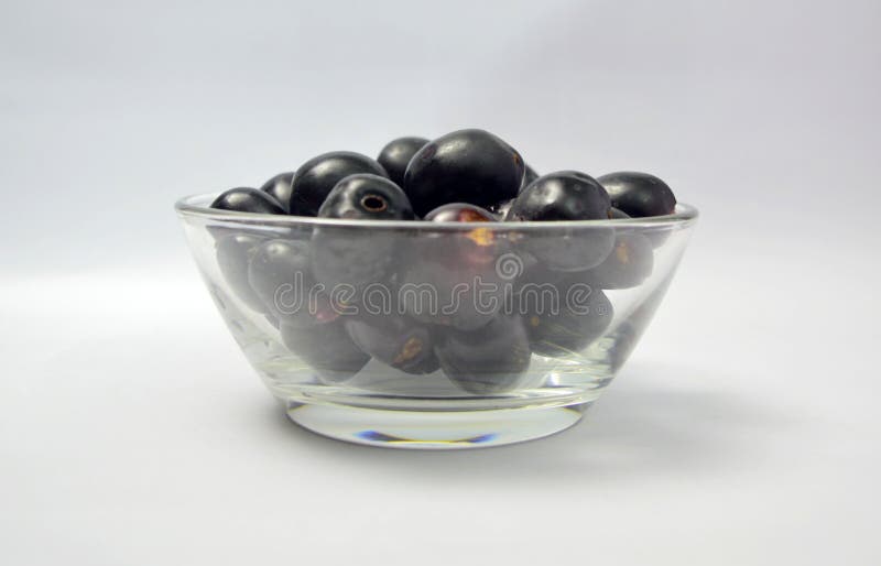 Java Plum on White Background Stock Photo - Image of cumini, thailand ...