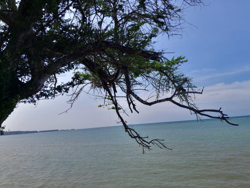 Java Sea, One of the Seas in the World Stock Image - Image of ...