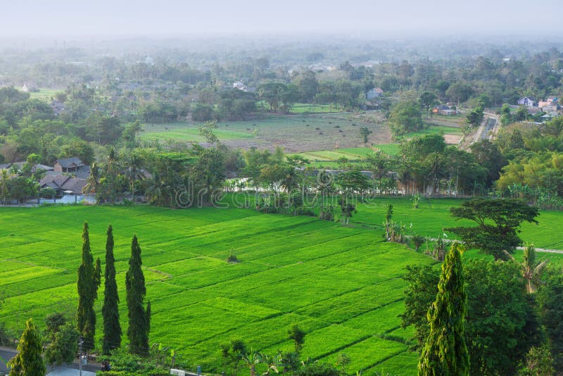 Javanese landscape 1 stock photo. Image of field, rice - 90872630